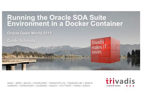 Pdf Running The Oracle Soa Suite Environment In A Docker Container