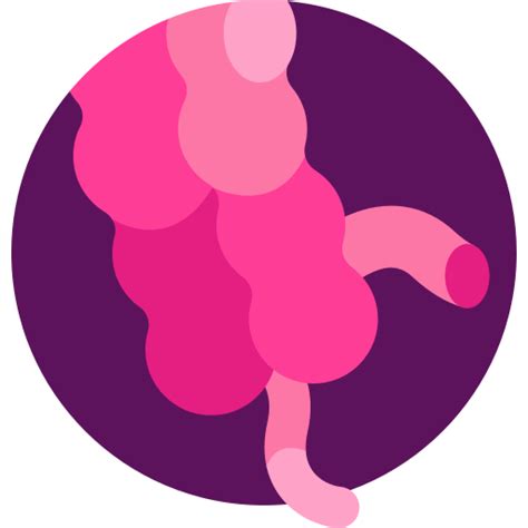 Appendix Free Medical Icons