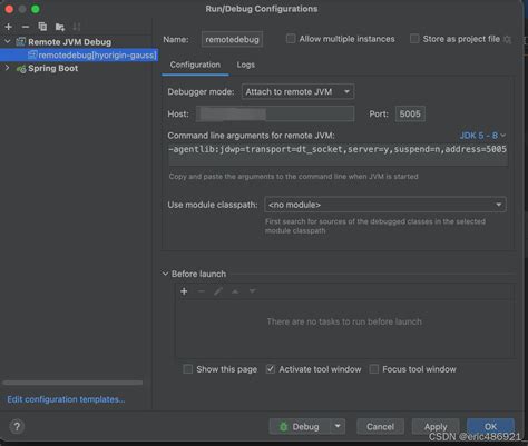 Java服务远程Debug 远程debug配置 CSDN博客
