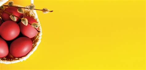 노란 배경에 빨간 달걀로 가득 찬 바구니가있는 부활절 휴가 카드와 음부 버드 나무 나뭇 가지 공간을 복사합니다 빈 텍스트 장소입니다 봄 의 모형 디자인 건강한 음식 농장