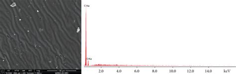Sem Microphotographs Of Pu Modified With Starch And Magnetite And The Download Scientific