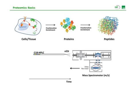Proteomics Analysis Basics And Applications Ppt
