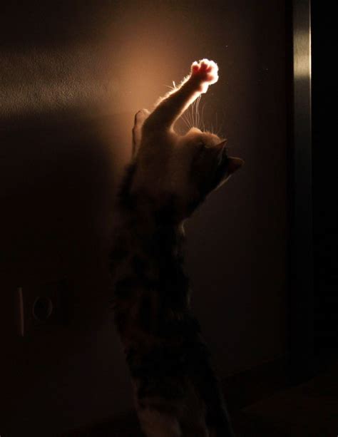 Olga Polyakova Photographer Youpic