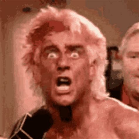 Ric Flair Woo S