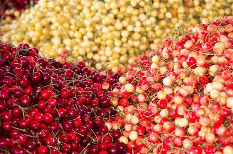 Tipos De Cerezas Variedades Y Propiedades De Esta Fruta