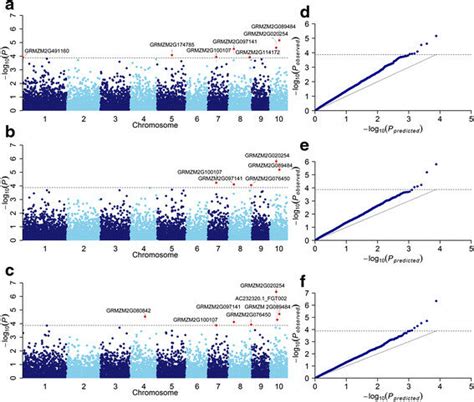 Manhattan Plots And Qq Plots Resulting From The Haplotype Based Gwas