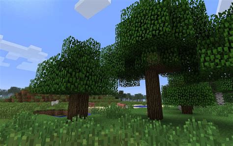Every Type Of Tree In Minecraft And Where To Find Them