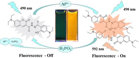 A Novel Coumarin‐based Fluorescent Probe For Sequential Detection Of Al3 And H2po4− Wang