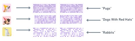 Vectors For Classification Guide To Vectors