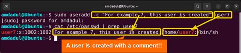 The “useradd” Command In Linux 12 Practical Examples