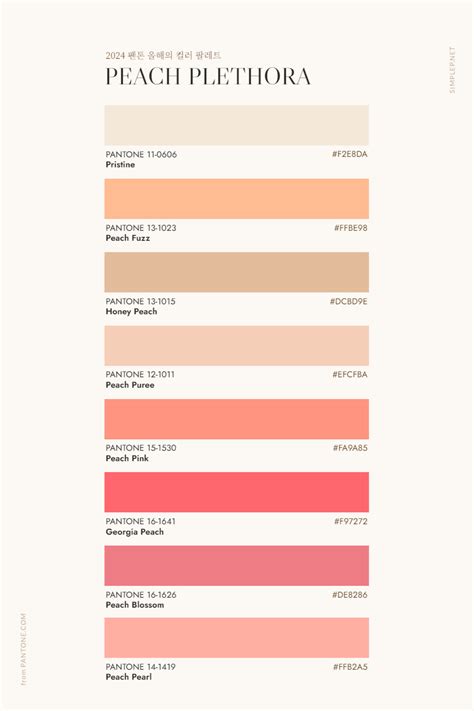 2024 팬톤 올해의 컬러 피치 퍼즈 Simple P 색표 컬러 팔레트 복숭아