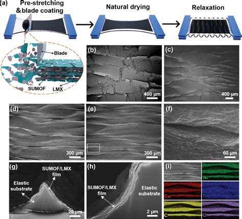 A Schematic Illustration Of The Fabrication Process Of Stretchable And