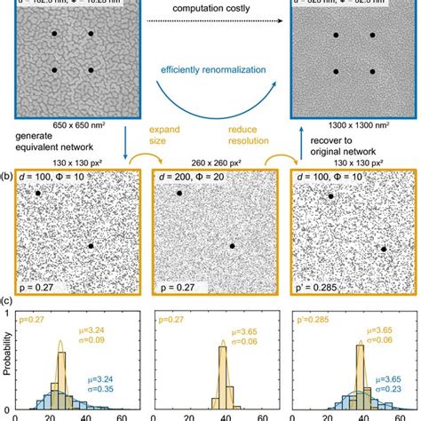 Renormalization For 2d Percolation Networks A A Schematic Of A 2d Site Download Scientific