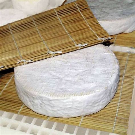 Penicillium Candidum (White) | How to make cheese, Cheese, Cheese ...