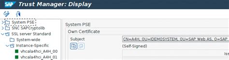 Sap Abap Platform 1909 Developer Edition On Ubuntu Virtualbox Guest