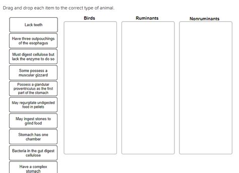 Solved Drag And Drop Each Item To The Correct Type Of
