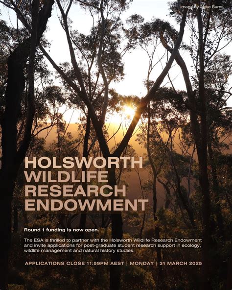 2024 Round 2 Recipients Of The Holsworth Wildlife Research Endowment