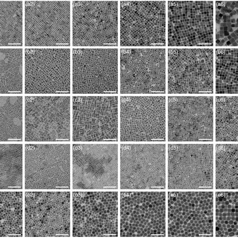 A Heat Map Of Pearson Correlation Coefficient B The Histogram Of The