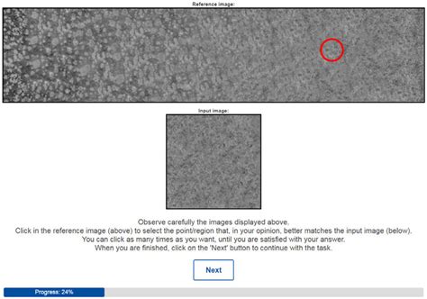 experimental interface for the formulation of perceptual similarity