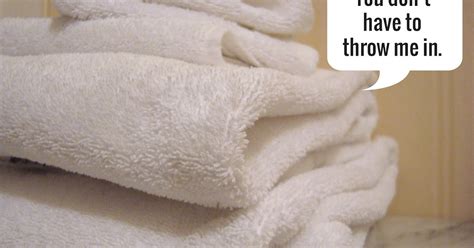 Is Throwing In The Towel A Technical Decision At Beth Anker Blog