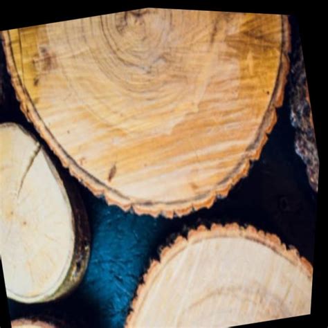 Cross Section Detection Object Detection Dataset And Pre Trained Model By Robotaxi