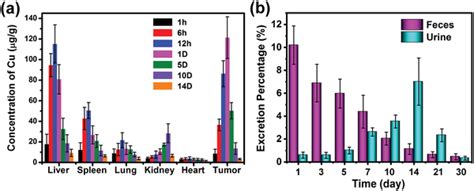 A The In Vivo Biodistribution Of Cu After Iv Injection With Download Scientific Diagram