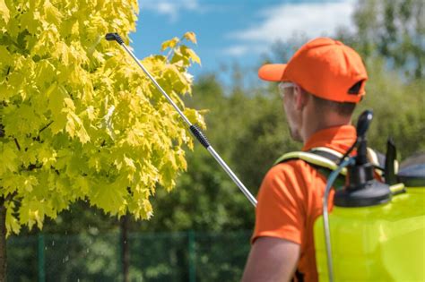 Understanding The Science Of Tree Fertilization American Tree Experts