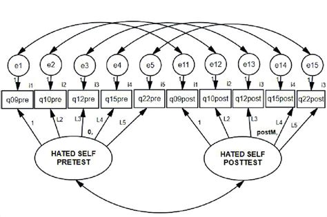 Dynamic Structural Equation Model For Hated Self Subscale Fscrs