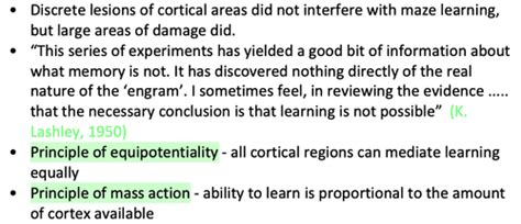 Experience Dependent Plasticity Flashcards Quizlet