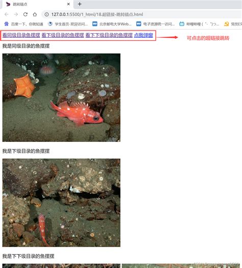 零基础前端vue的小白学习路——html基础（三）超链接、列表、表格、表单、框架标签、字符实体 vue 超链接 csdn博客