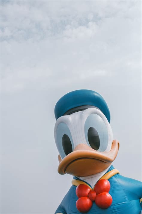 Donald Duck Wallpapers On Wallpaperdog