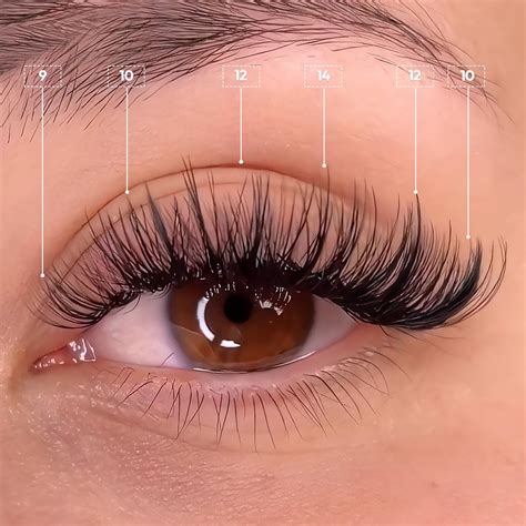 Summer Style Hybrid Set Eyelash Extensions Lash Extensions Styles