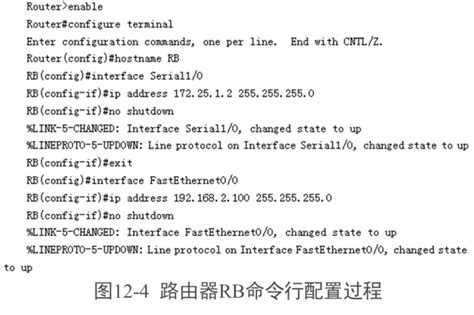 单区域的OSPF配置 Issue FocusOn computer network GitHub