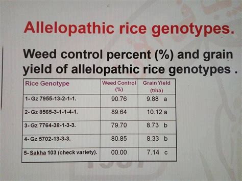 Dr Ibrahim Aboueldarag On Linkedin Allelopathy In Egyptian Rice Weeds Pose An Important