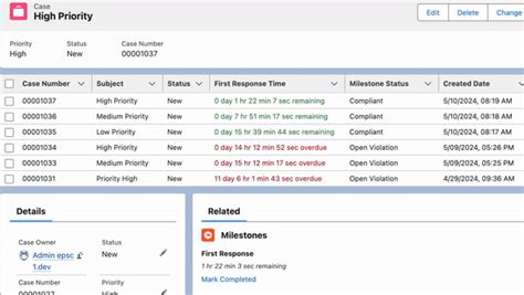 Make Milestone Fields Available In Case List Views So Cases Can Be Prioritized In Salesforce
