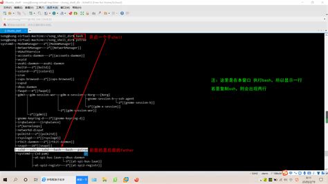 shell脚本的学习心得和知识总结（一） 基础知识简介和常用命令 shell脚本心得 csdn博客