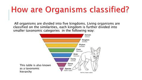 Importance Of Biodiversity And Classification Pptx