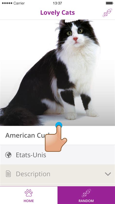 Ios How Can I Resize Image In Table View Stack Overflow