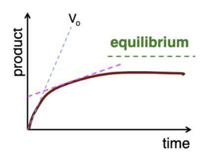 MCB Lecture Flashcards Quizlet MCB Lecture Flashcards Quizlet