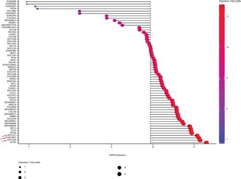 Difference Of Hspa8 Expression Between Tumor And Paracancerous Normal Download Scientific