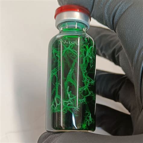 Scp 020 Molde Invisible Keter Cosplay Creepypasta Deco