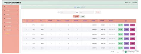 Python Django毕业设计中小企业人力资源管理系统（程序lw中小企业python Csdn博客