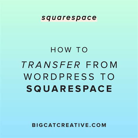 7 DIY Website Design Mistakes To Avoid Big Cat Creative Squarespace Templates
