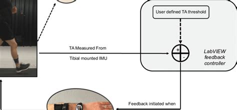 Block Diagram Of Real Time Haptic Feedback System Download Scientific Diagram