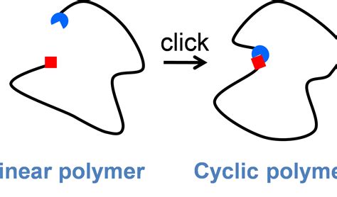 Synthesis Of Cyclic Polymers — Dipc