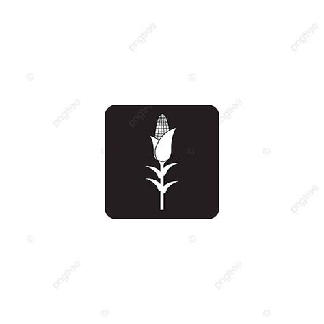 Corn Icon Nutritious Sweetcorn Crop Vector Nutritious Sweetcorn Crop Png And Vector With