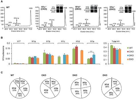 Generation And Reverse Phase Hplc Analysis Of Single H1 Ko Escs A