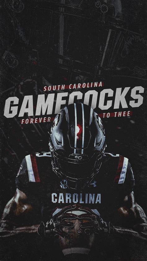 South Carolina Gamecocks Wallpapers Top Free South Carolina Gamecocks