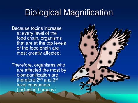 Ppt Biological Magnification Powerpoint Presentation Free Download Id 712052