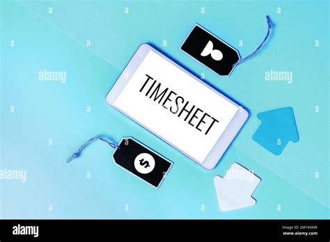 Writing Displaying Text Timesheet Business Overview Graphical Representation Of Period Time On